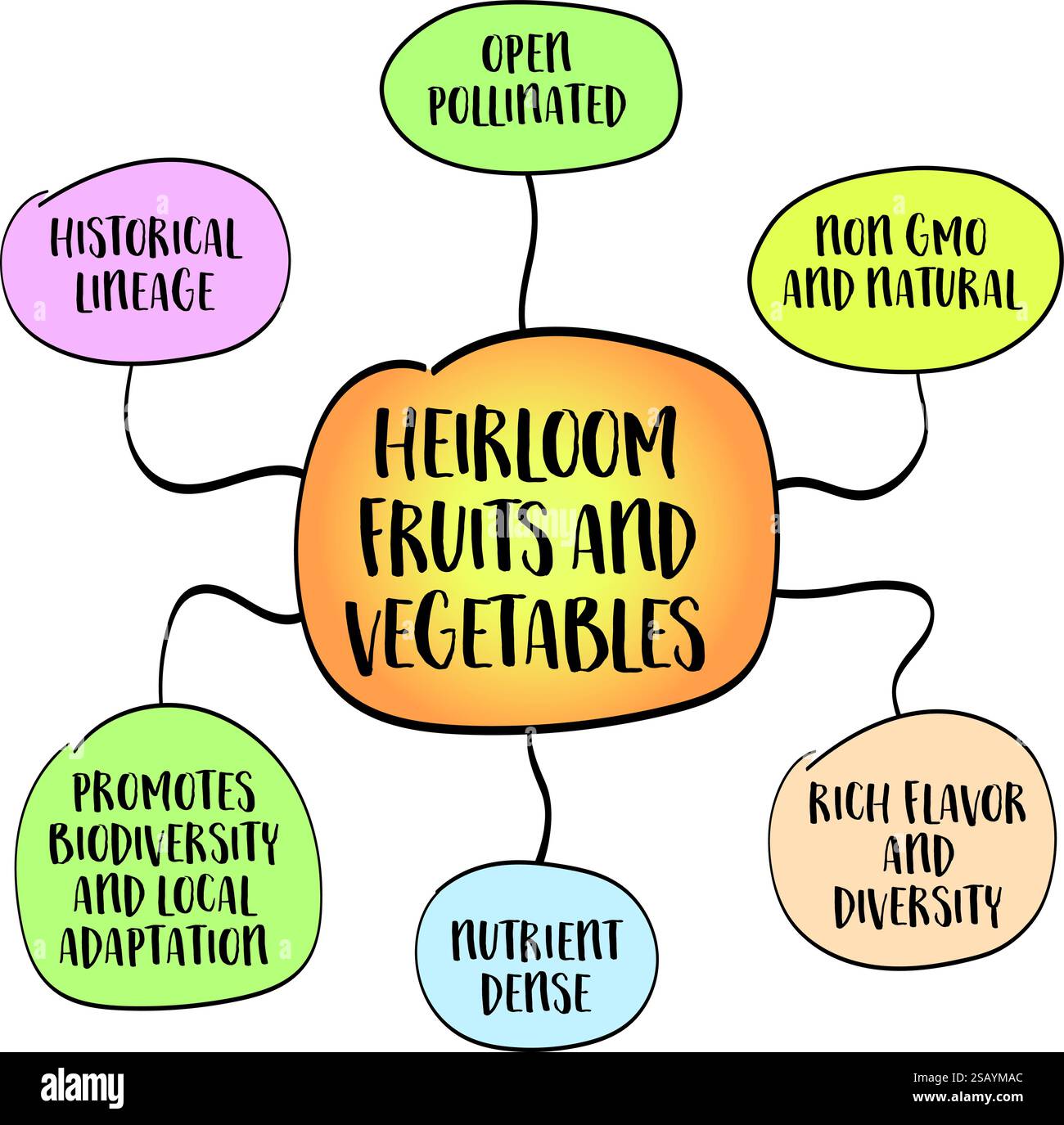 Historical lineage Stock Vector Images - Alamy