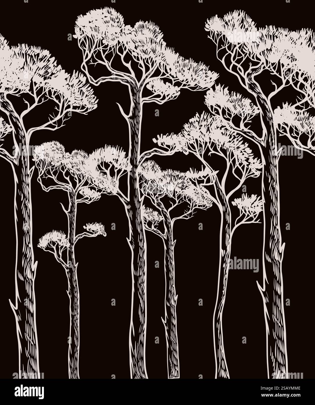 Mural with monocrome pines. Vector Stock Vector Image & Art - Alamy