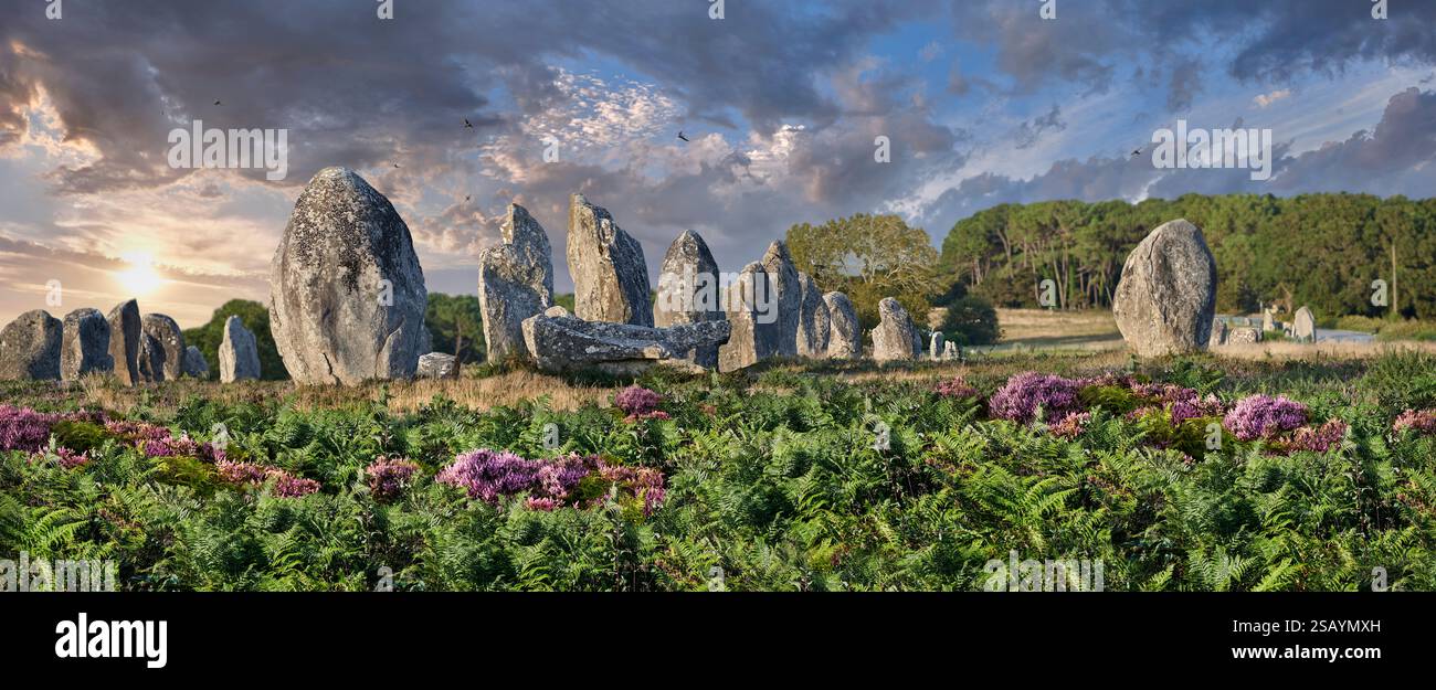 View of Carnac neolthic standing stones monaliths, Alignements du ...