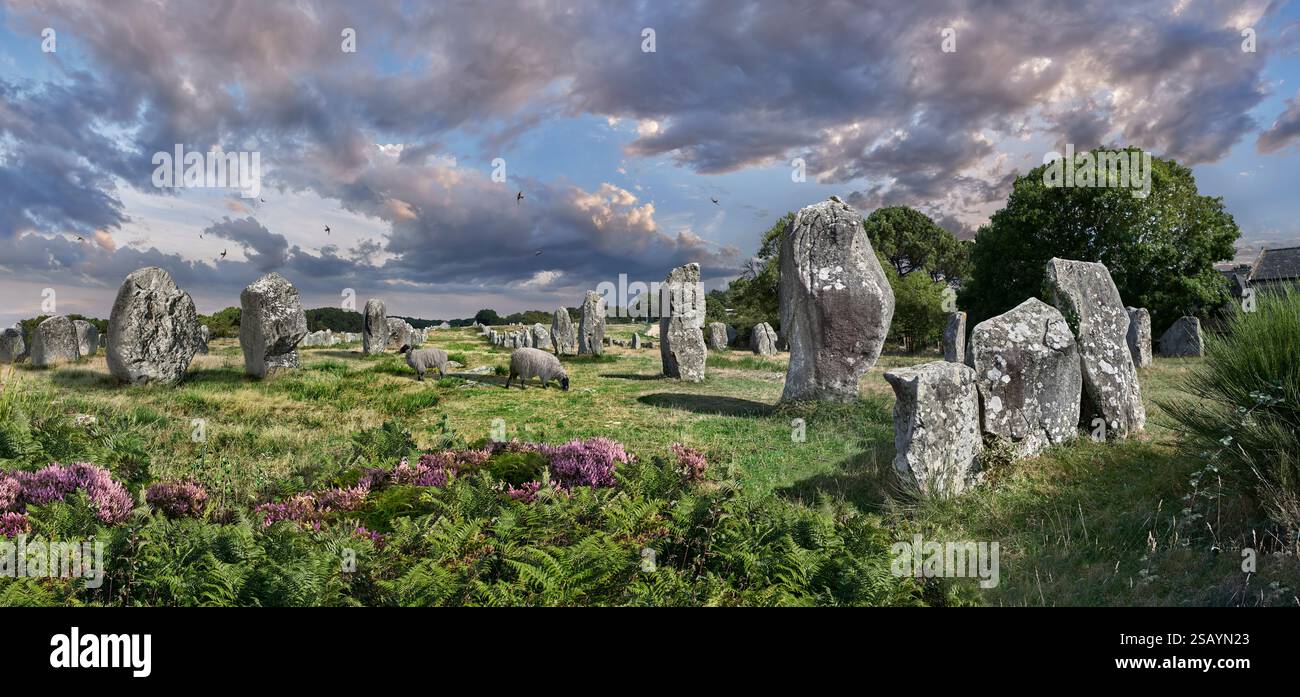 View of Carnac neolthic standing stones monaliths, Alignements du ...