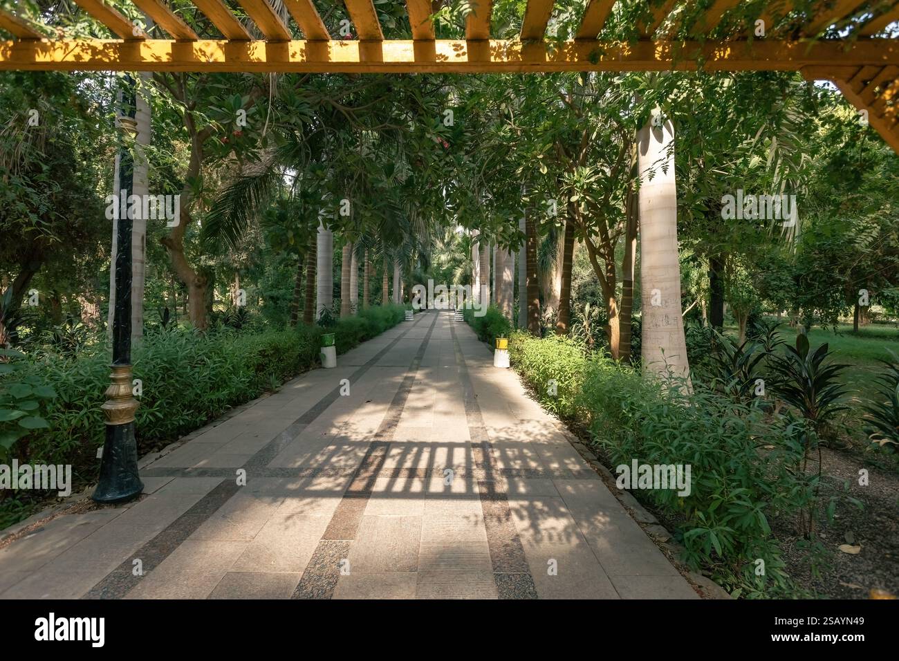 Aswan botanical garden hi-res stock photography and images - Alamy