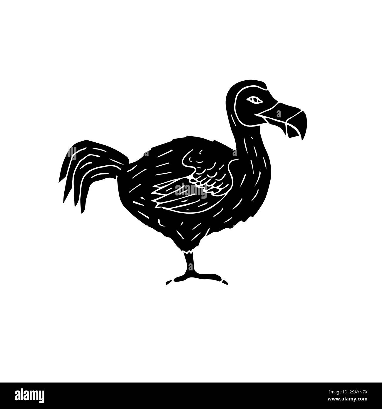Vector hand drawn doodle sketch black dodo bird isolated on white background Stock Vector Image ...