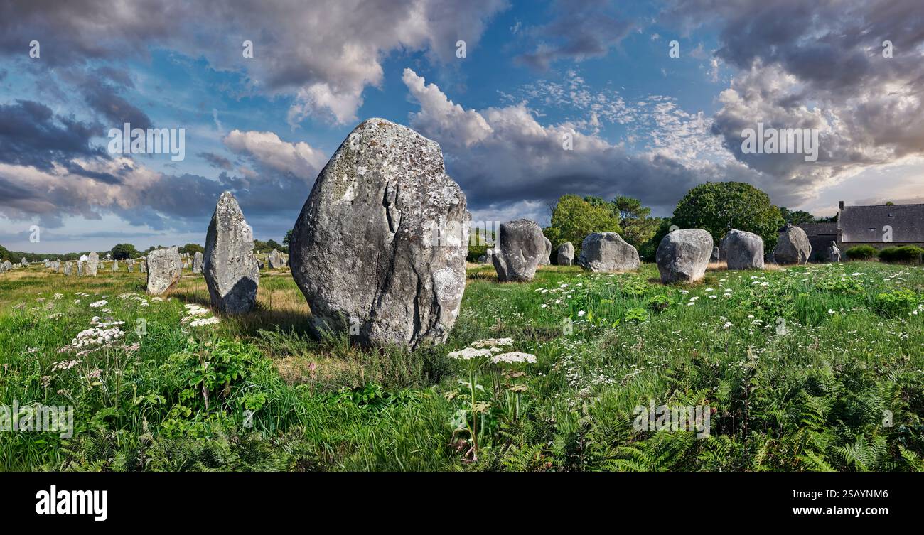 View of Carnac neolthic standing stones monaliths, Alignements du ...