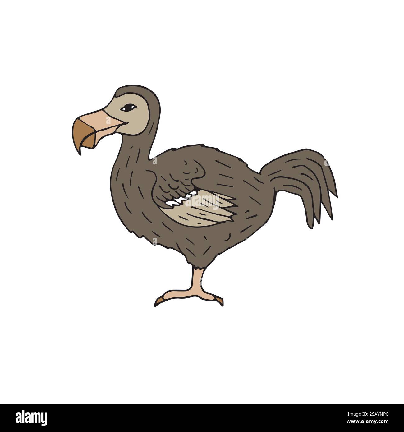 Vector hand drawn doodle sketch colored dodo bird isolated on white background Stock Vector ...