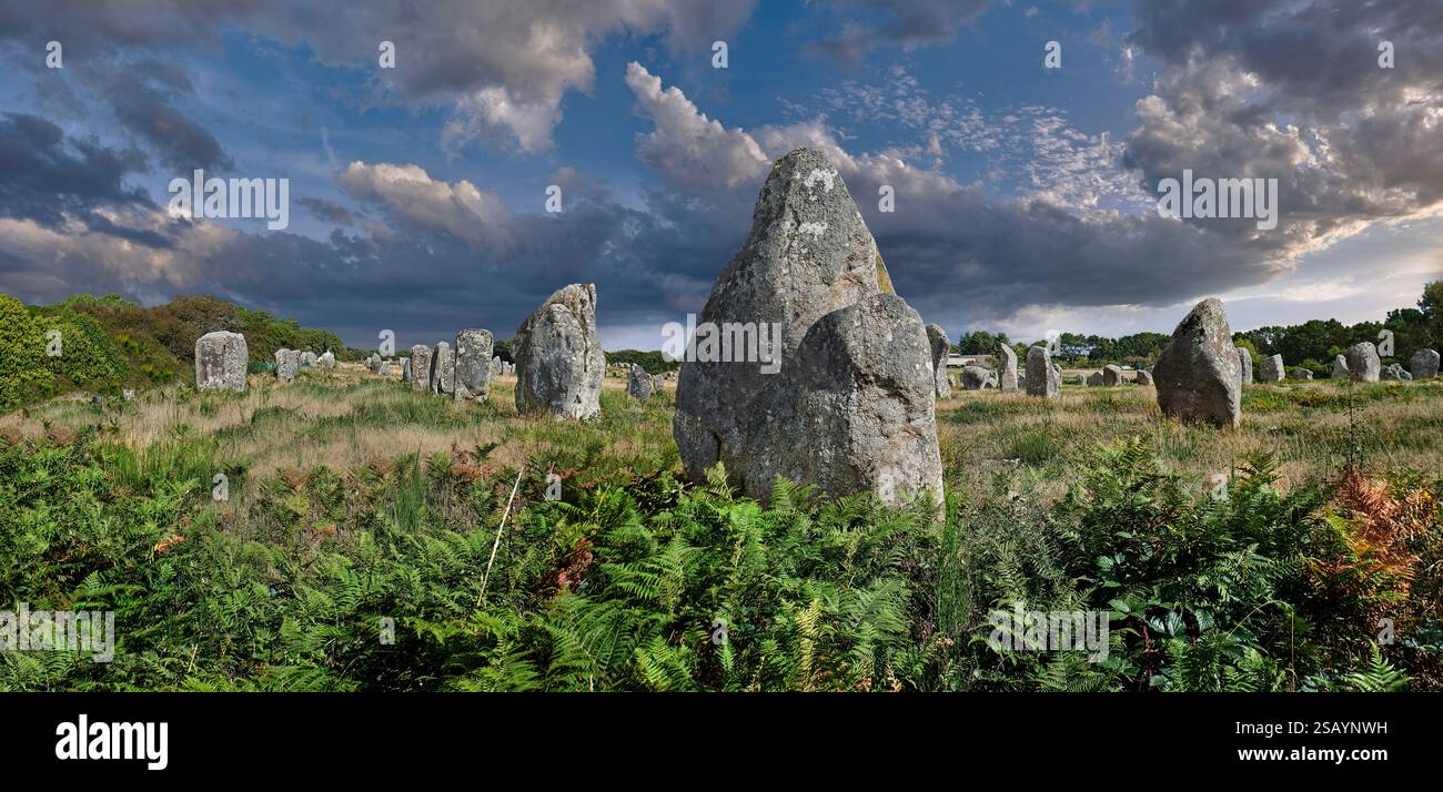 View of Carnac neolthic standing stones monaliths, Alignements du ...