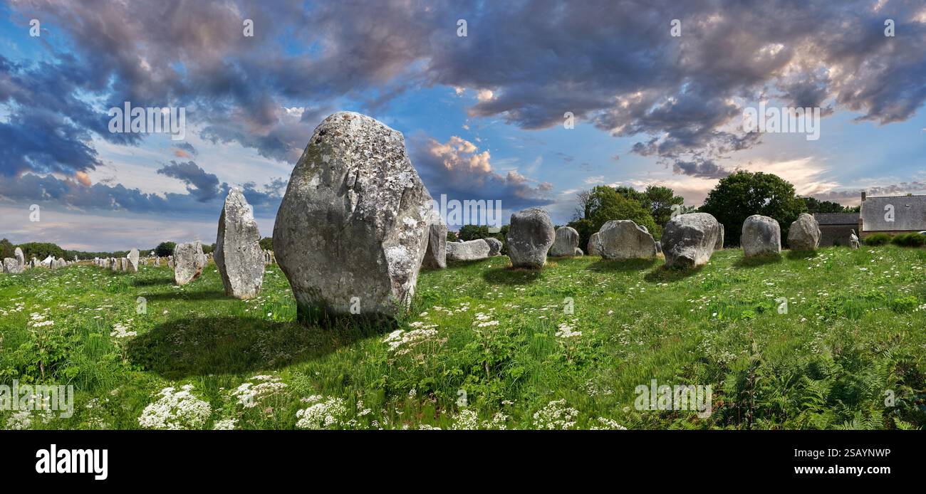View of Carnac neolthic standing stones monaliths, Alignements du ...