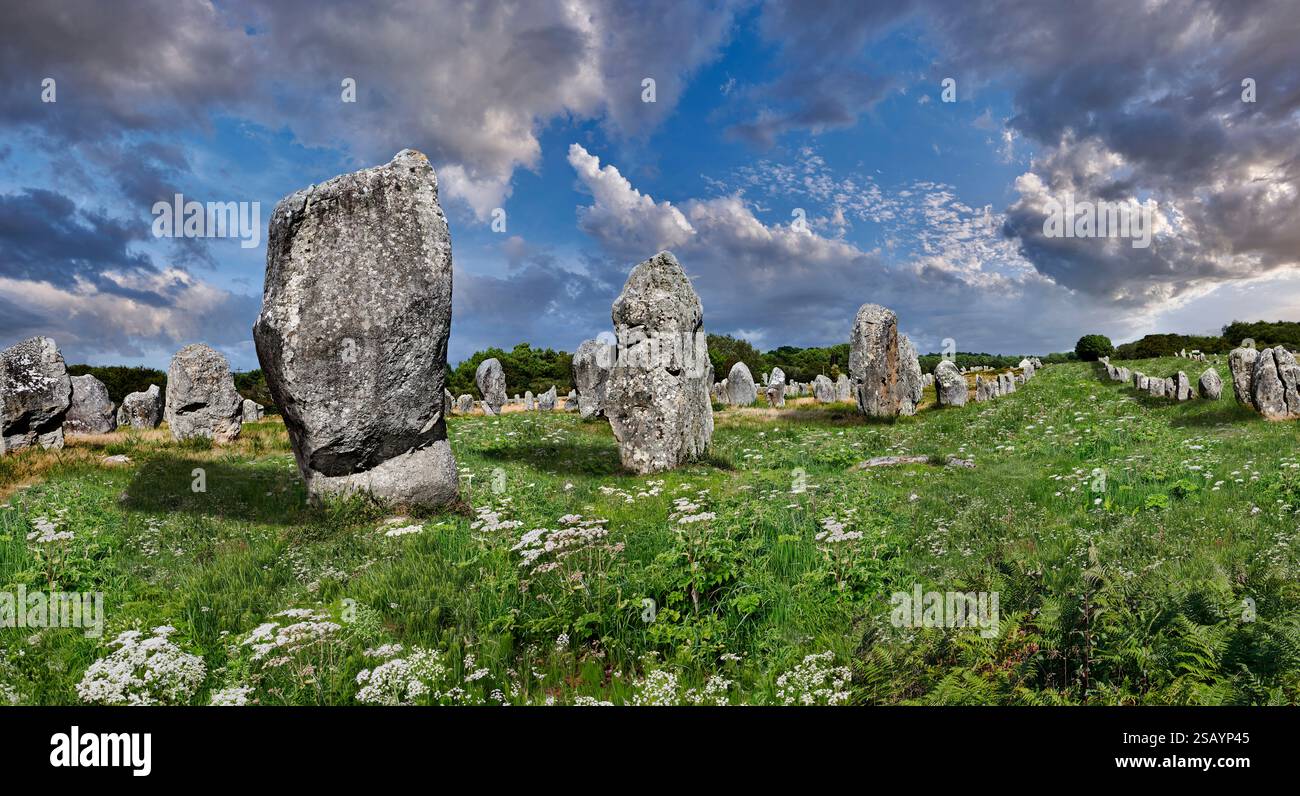 View of Carnac neolthic standing stones monaliths, Alignements du ...