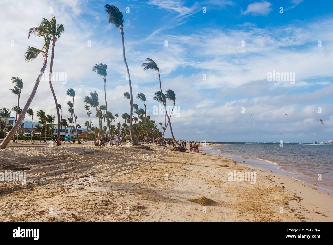 Sunny day at Cabeza de Toro (Bull's Head) Beach - Punta Cana, Dominican ...