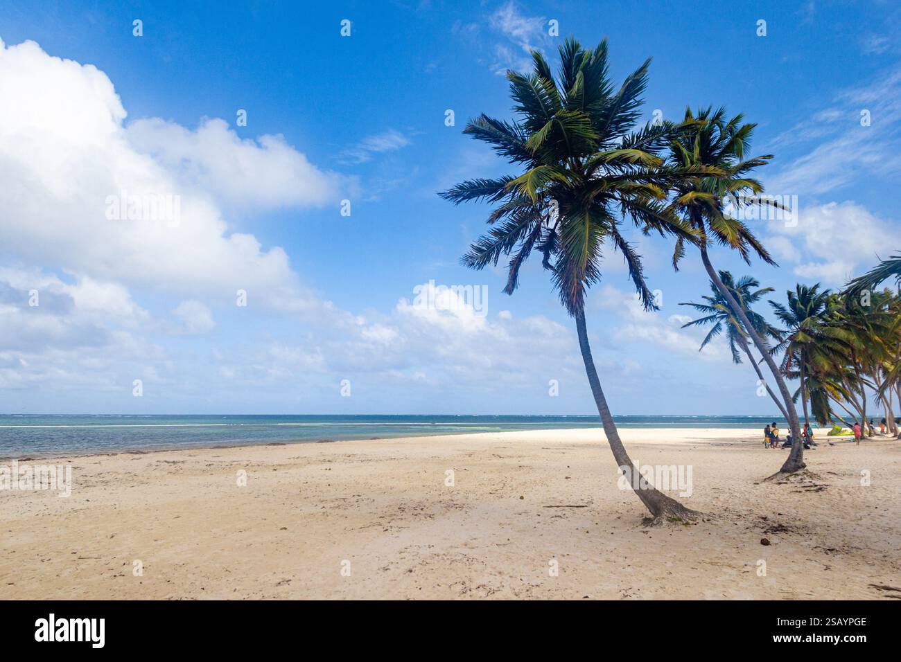 Sunny day at Cabeza de Toro (Bull's Head) Beach - Punta Cana, Dominican ...