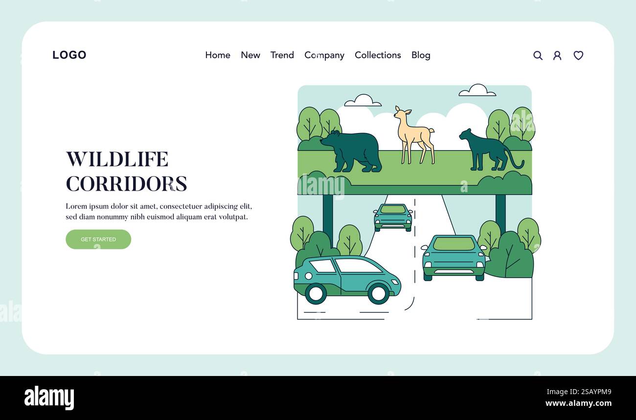 Wildlife Protection Day emphasizes the importance of wildlife corridors ...