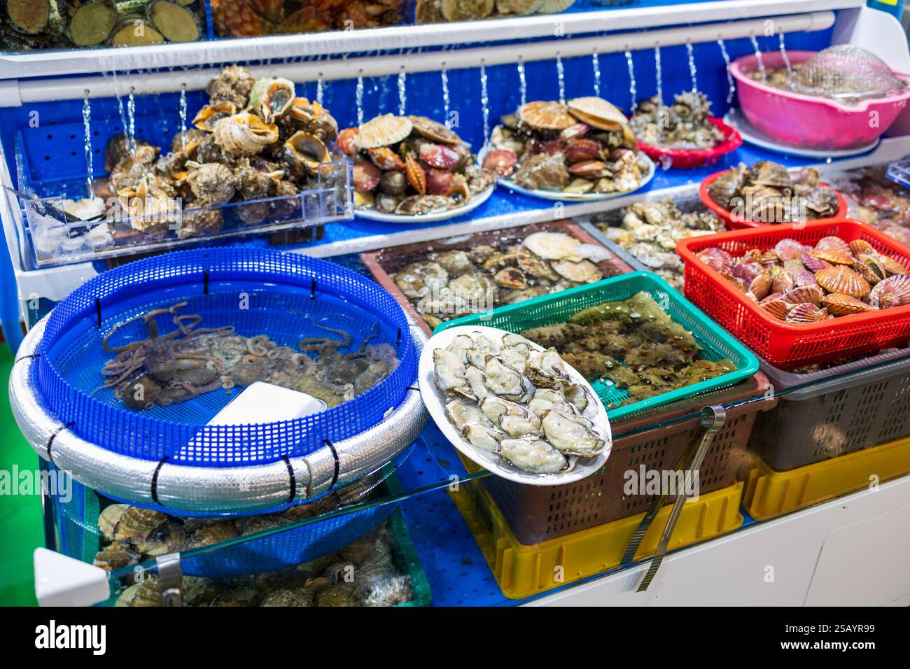 Seafood display with a blue bowl of oysters. There are many different ...