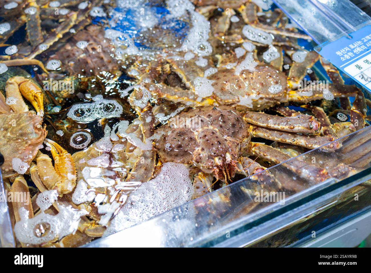 Tank of crabs with bubbles in the water. The tank is filled with water ...