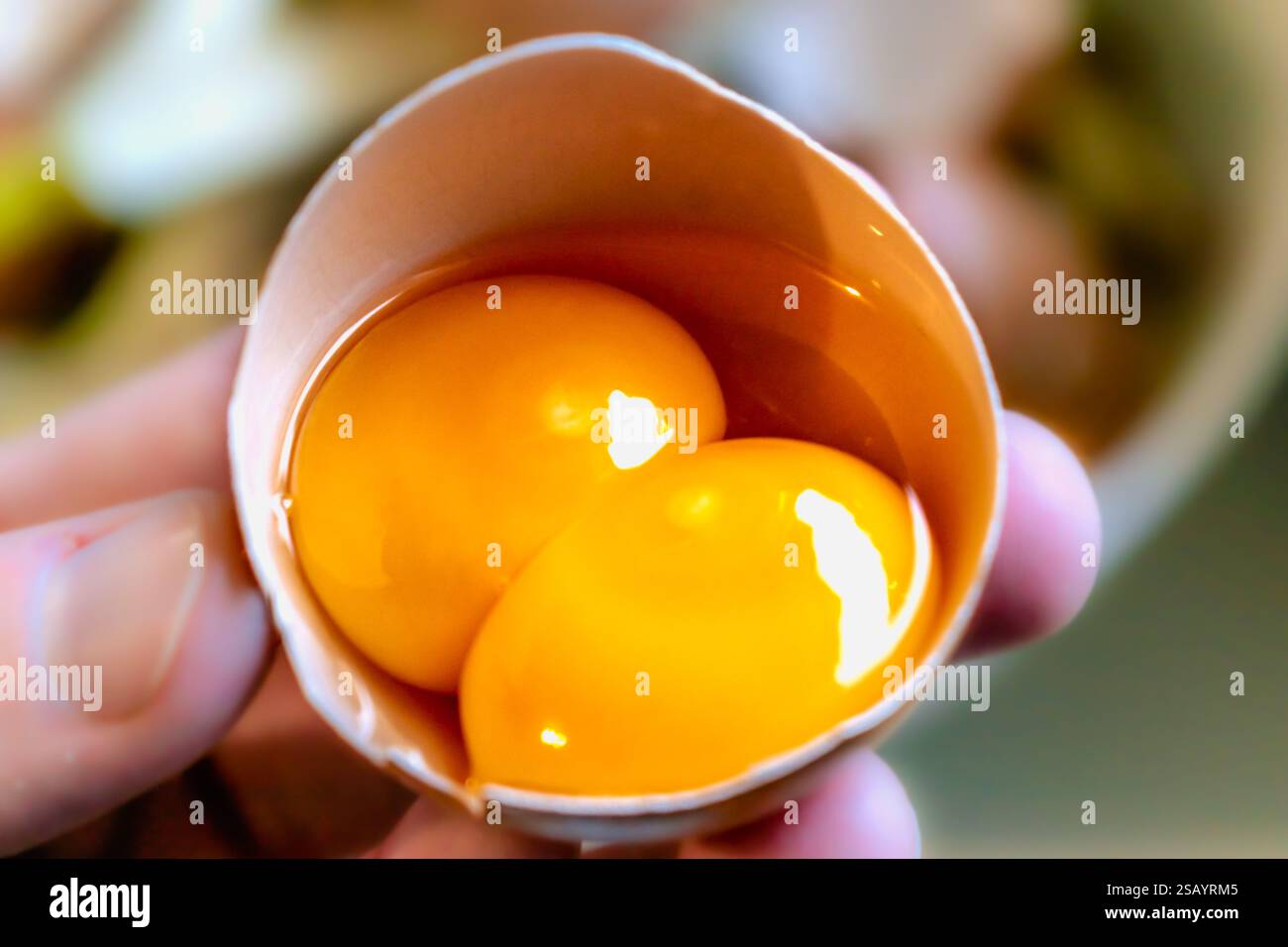 Double egg yolk in an egg Stock Photo - Alamy