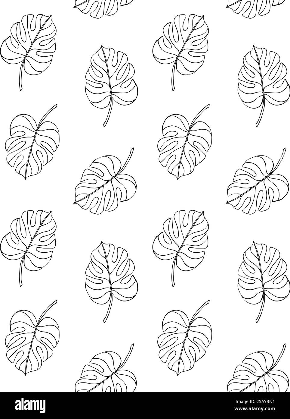 Vector seamless pattern of hand drawn doodle sketch monstera leaf ...