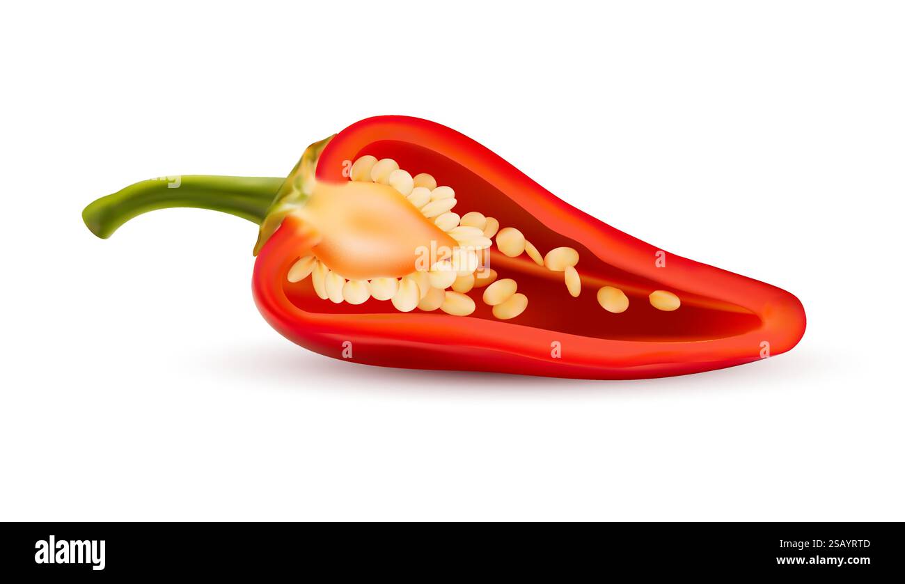 Chili pepper realistic cut slice with seeds, isolated raw spicy ...