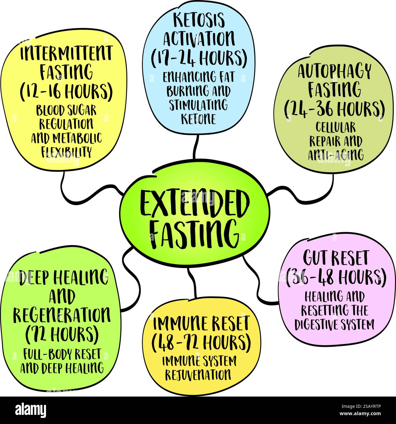 Extended fasting - stages and health benefits. Mind map infographics ...