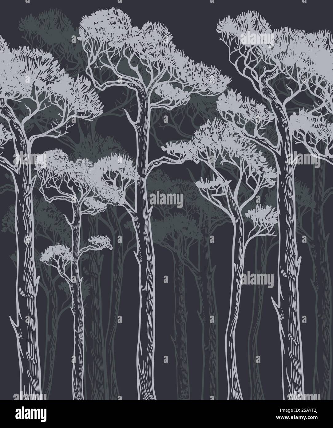 Mural with monocrome pines. Vector Stock Vector Image & Art - Alamy