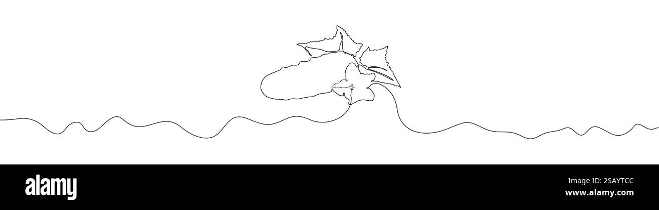 One line Cucumber icon vector background. Cucumber Vegetable icon ...