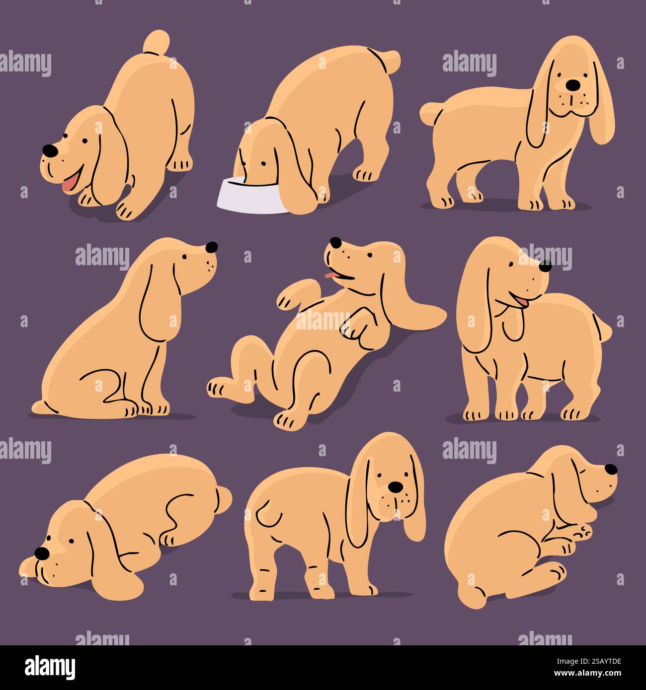 Set of pictures with a cute spaniel dog. A pet is a friend. Little ...