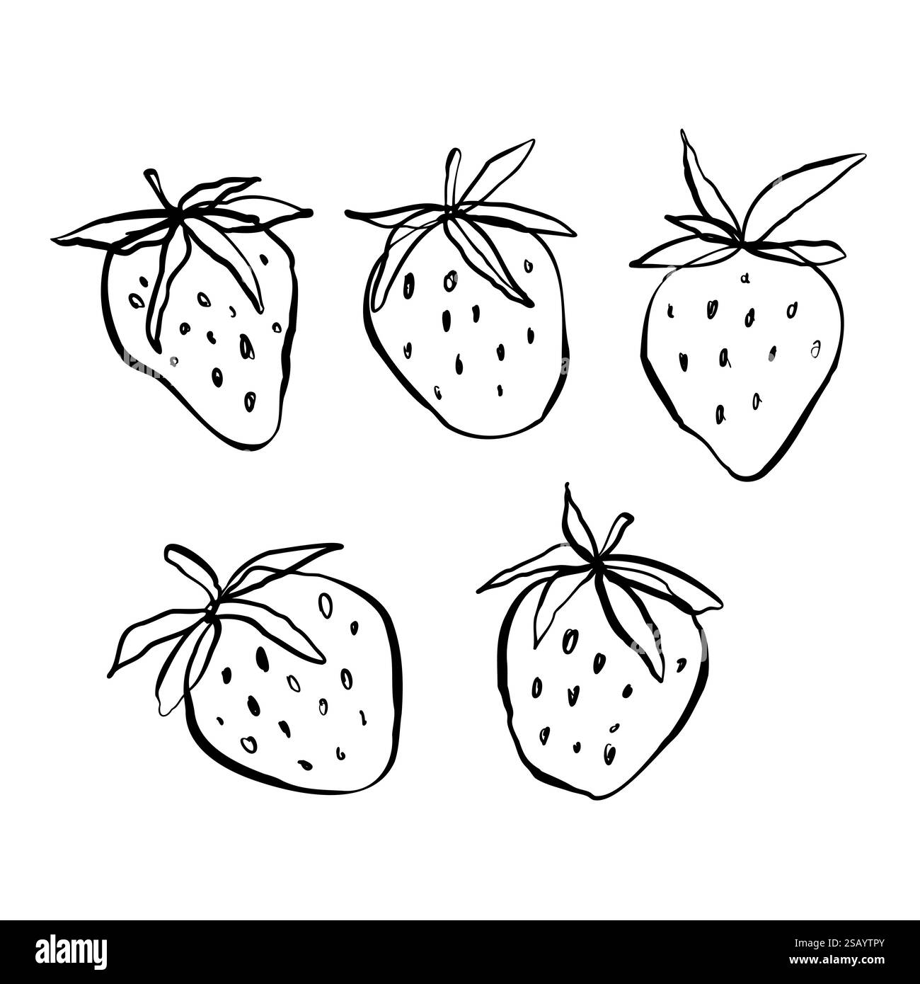 set of strawberry line art vector illustration hand drawn doodles with ...