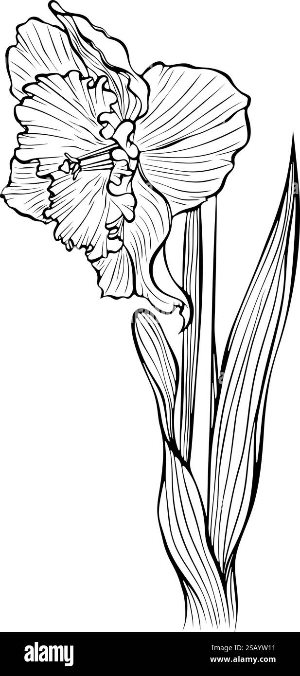 Close up side garden Stock Vector Images - Alamy