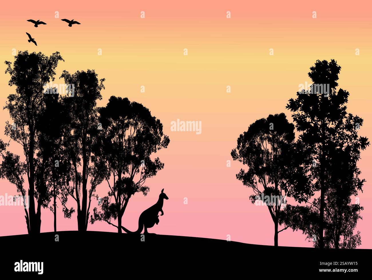 silhouette of many different gum trees Australian gum trees with one ...