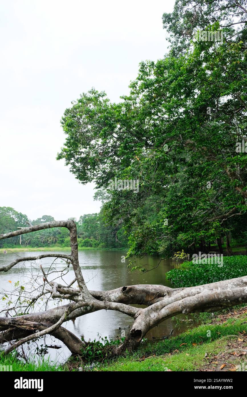 Oxbow lake forest conservation reserve hi-res stock photography and ...