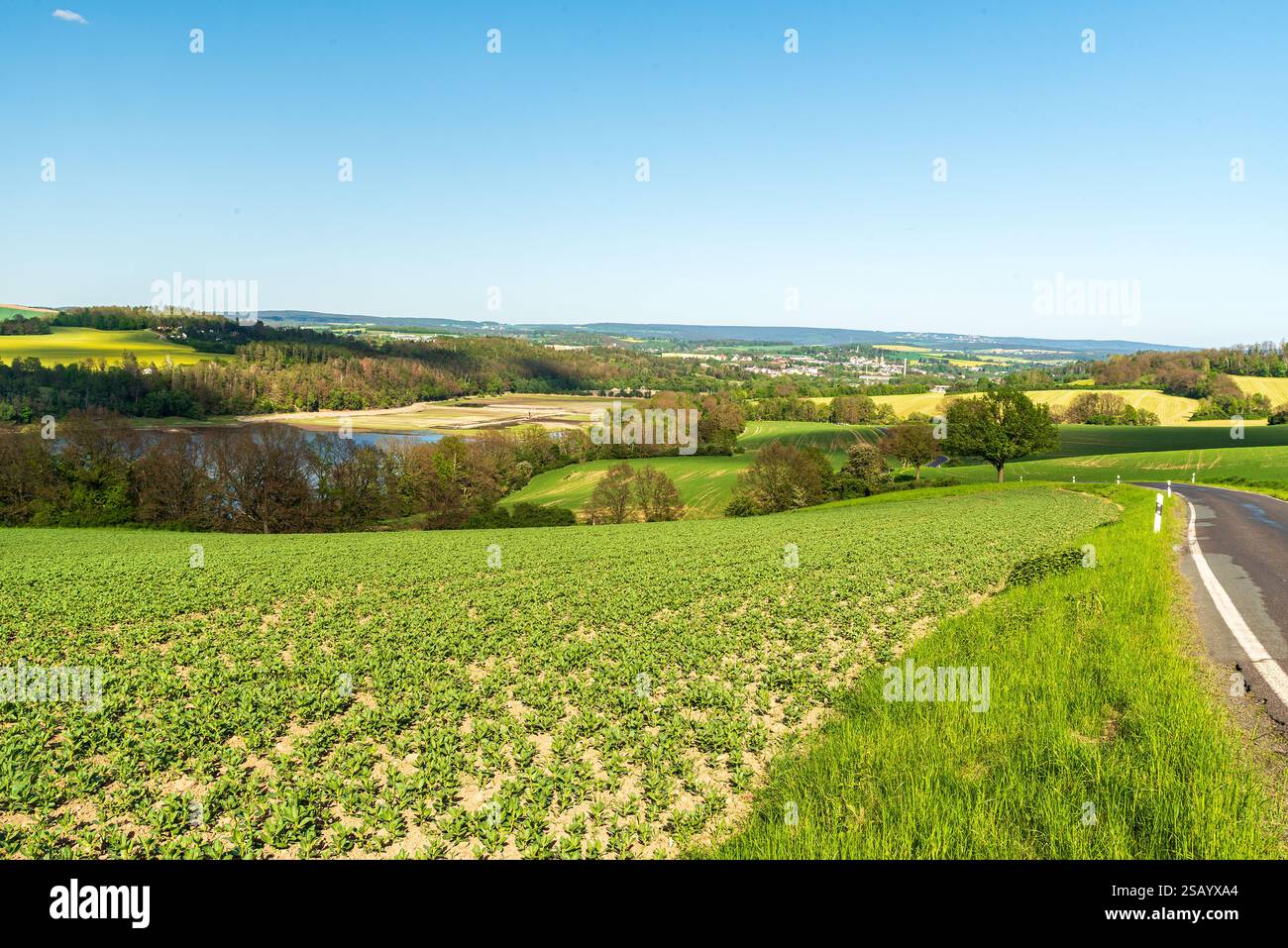 Talspere pirk hi-res stock photography and images - Alamy