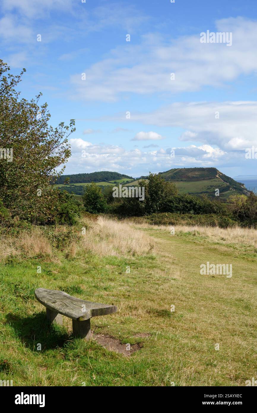 Stonebarrow Hill With Views Over to Golden Cap, Jurassic Coast, Dorset ...