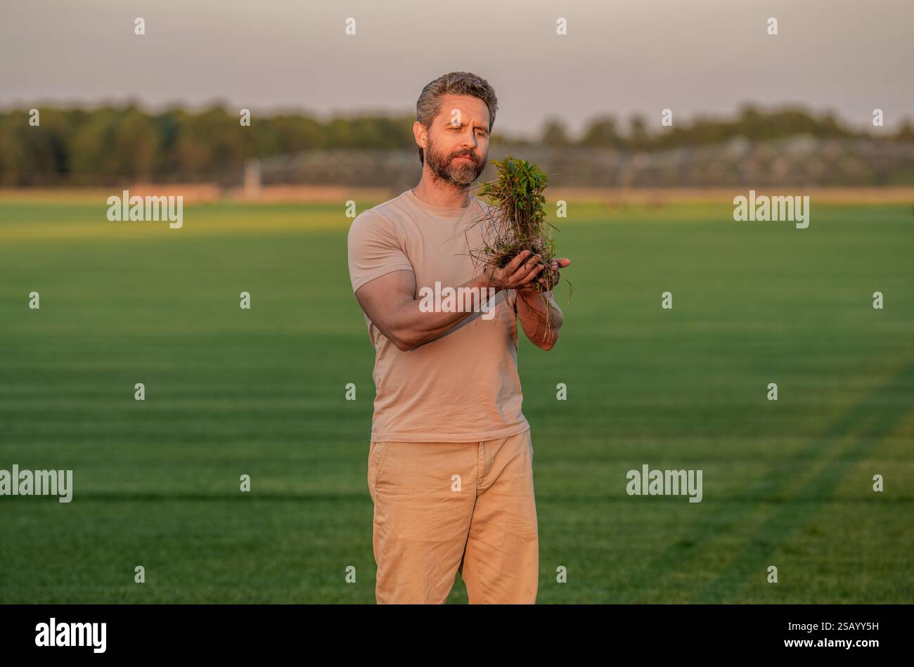 Eco farming and agricultural harvesting. Cultivate sustainable future ...