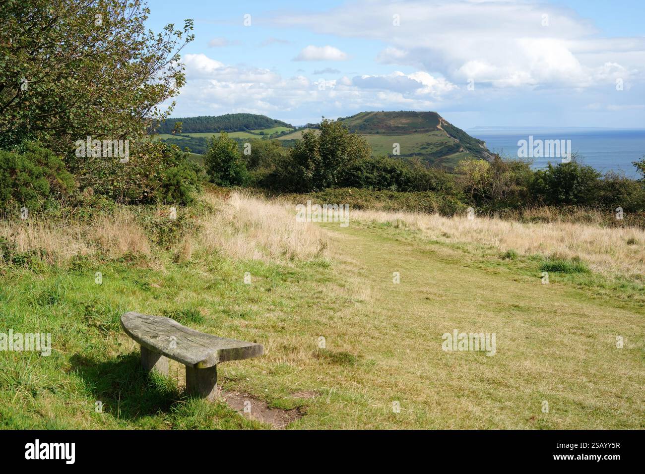 Stonebarrow hill summer hi-res stock photography and images - Alamy