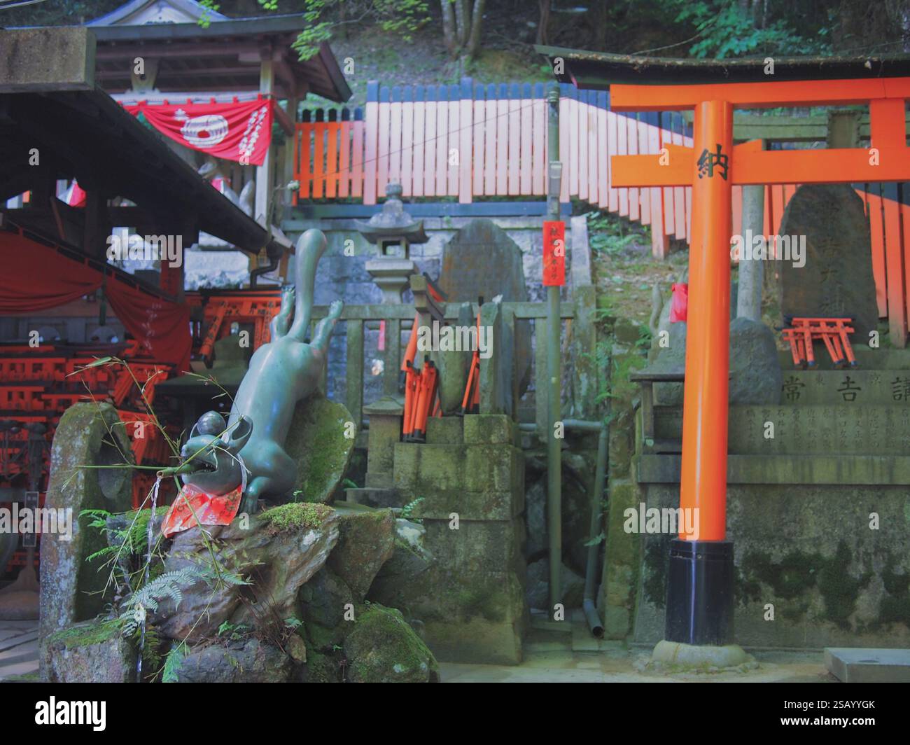 A fox statue and a red shrine gate Stock Photo - Alamy