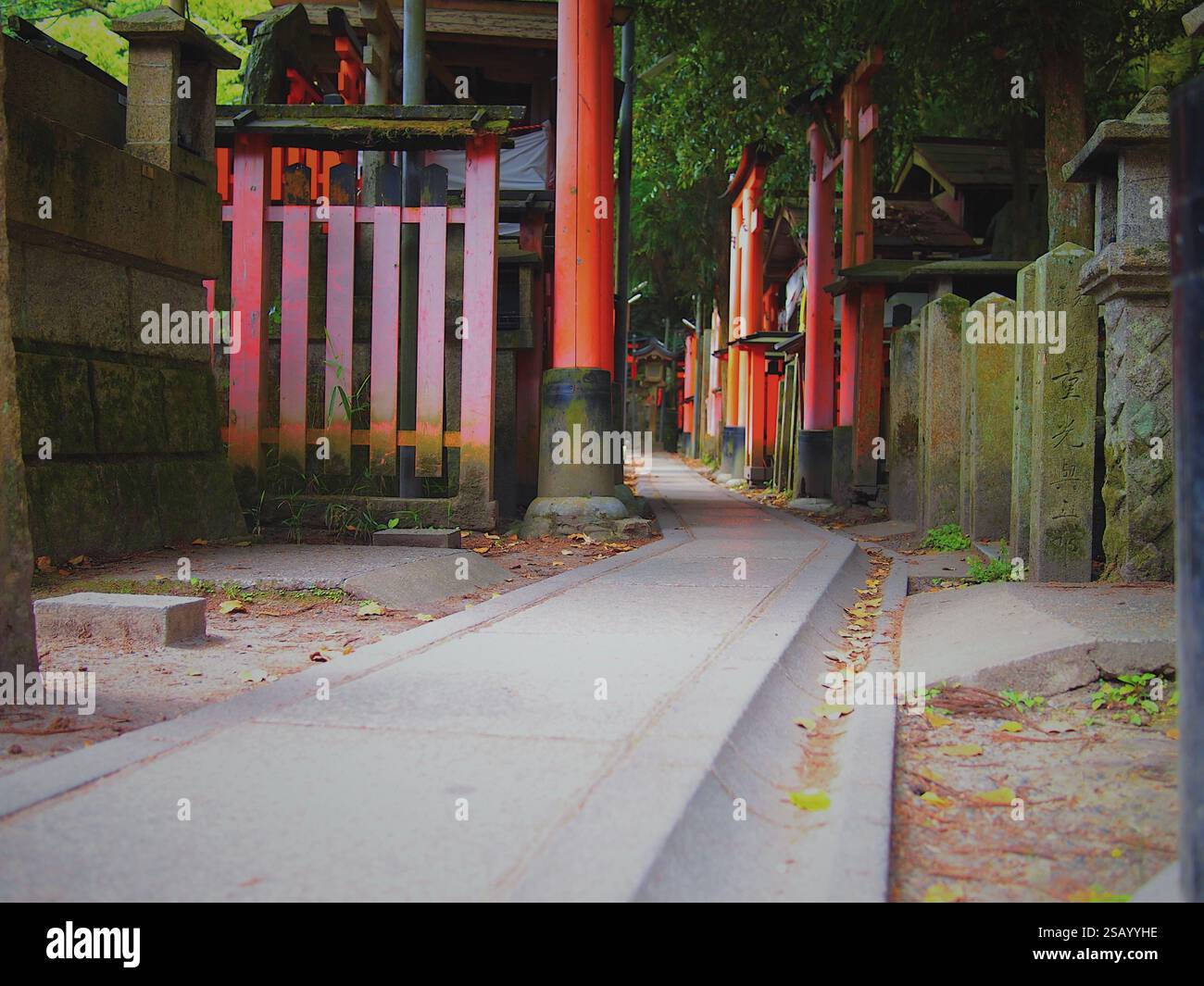Quiet shrine hi-res stock photography and images - Alamy