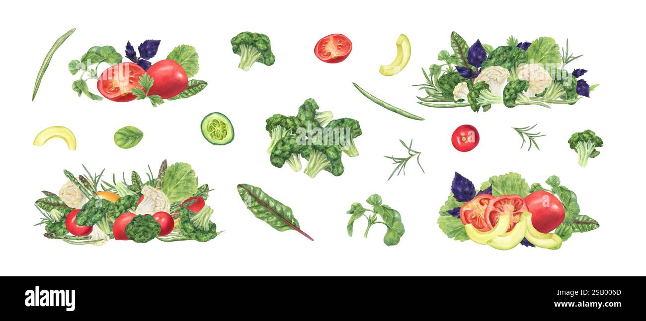 Fresh vegetable salads clip art watercolor set illustration isolated ...