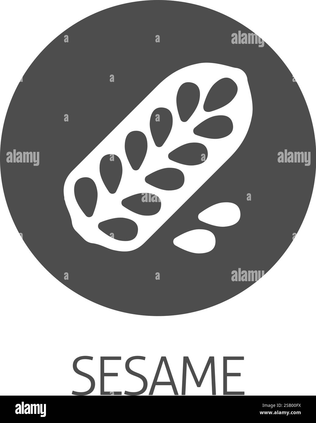 Sesame Seed Capsule Pod Food Allergen Icon Concept Stock Vector Image ...