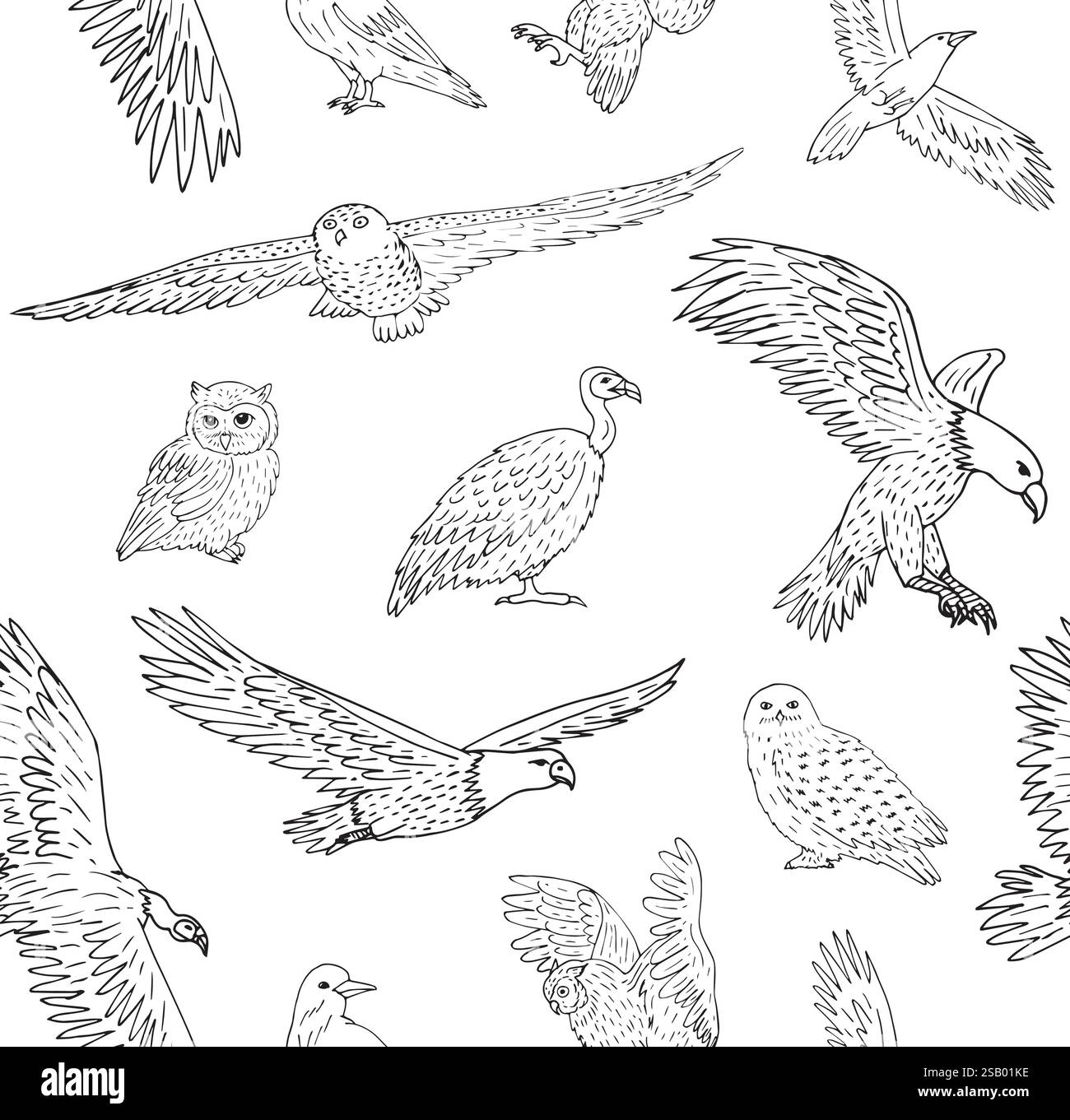 Vector seamless pattern of hand drawn doodle sketch wild predator birds ...