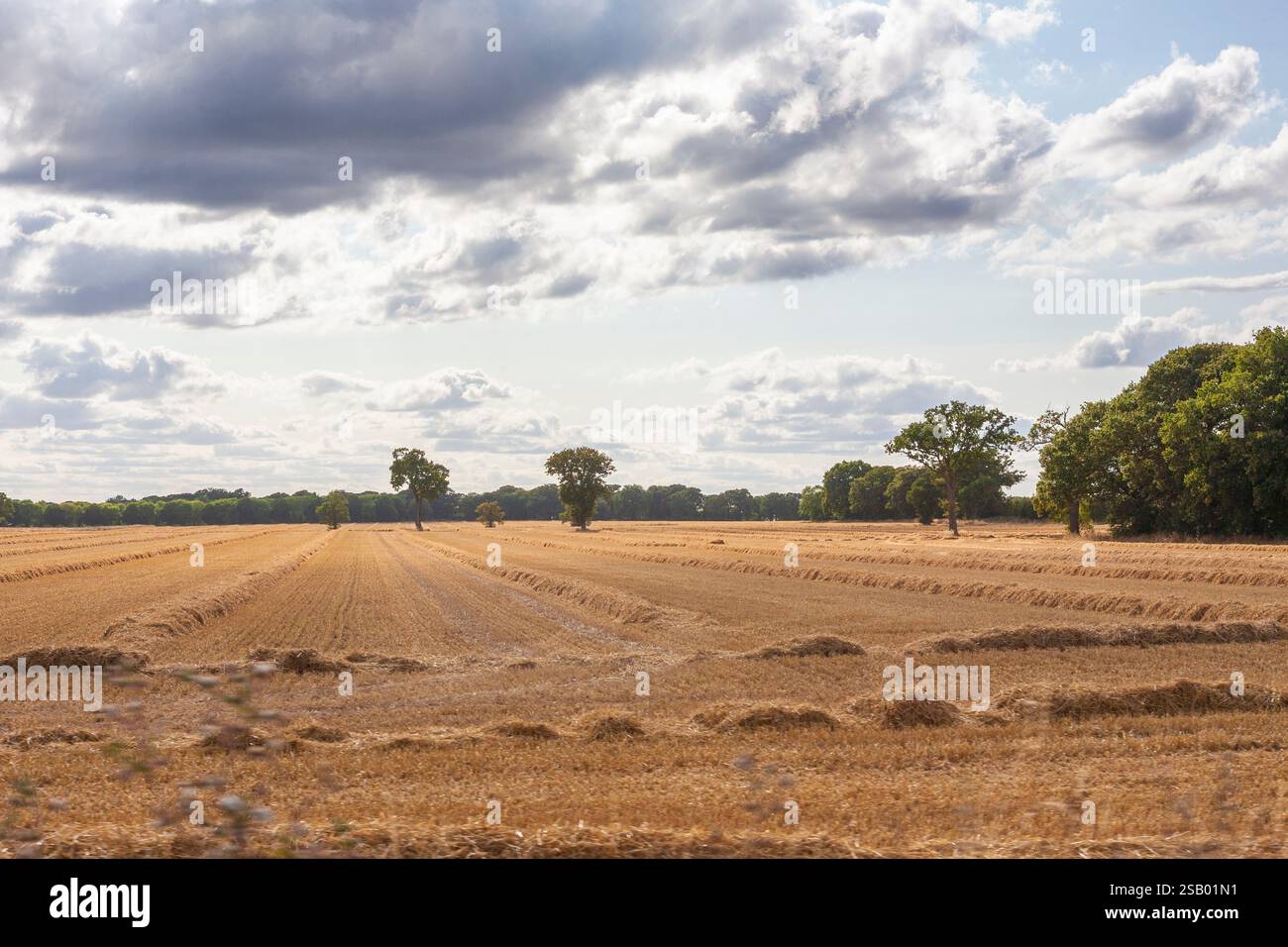 August landscape photography uk hi-res stock photography and images - Alamy