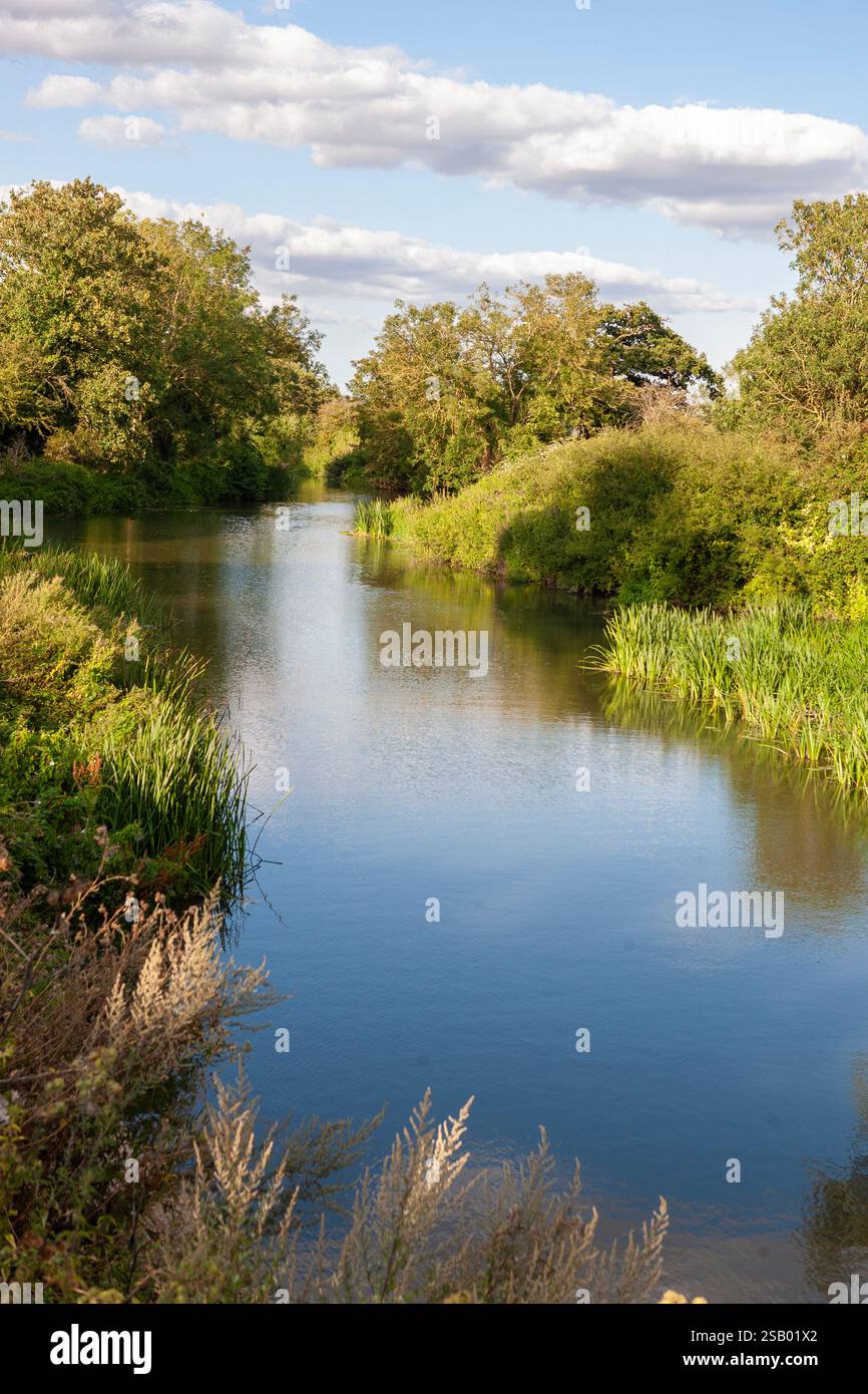 The River Chelmer below Hoe Mill Lock from the Causeway, Ulting, Essex ...
