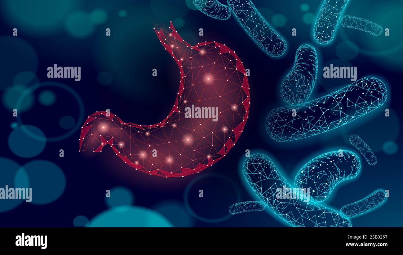 Human stomach microscopic 3D low poly render probiotics. Healthy normal ...
