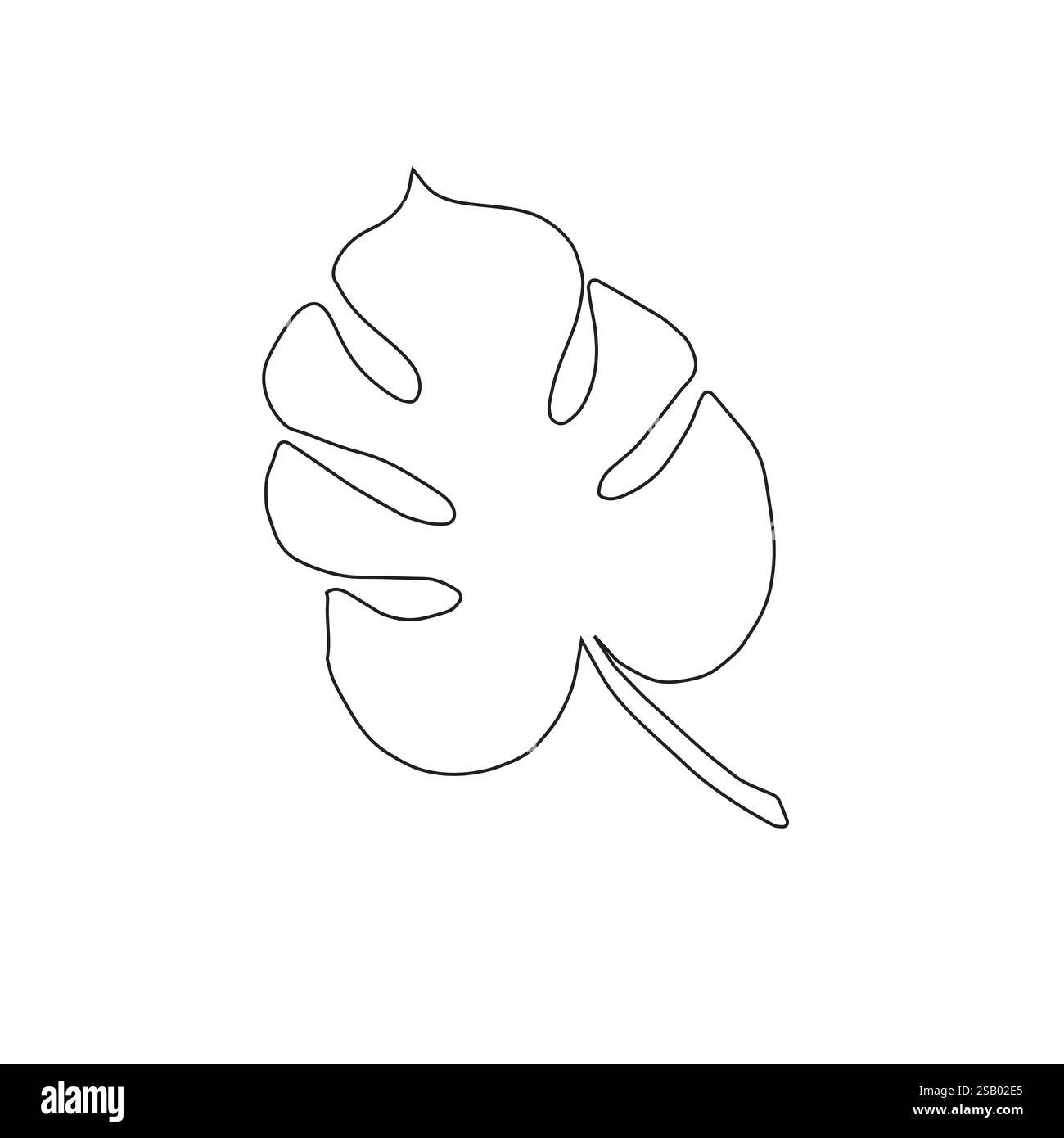 Vector hand drawn doodle outline monstera leaf isolated on white ...