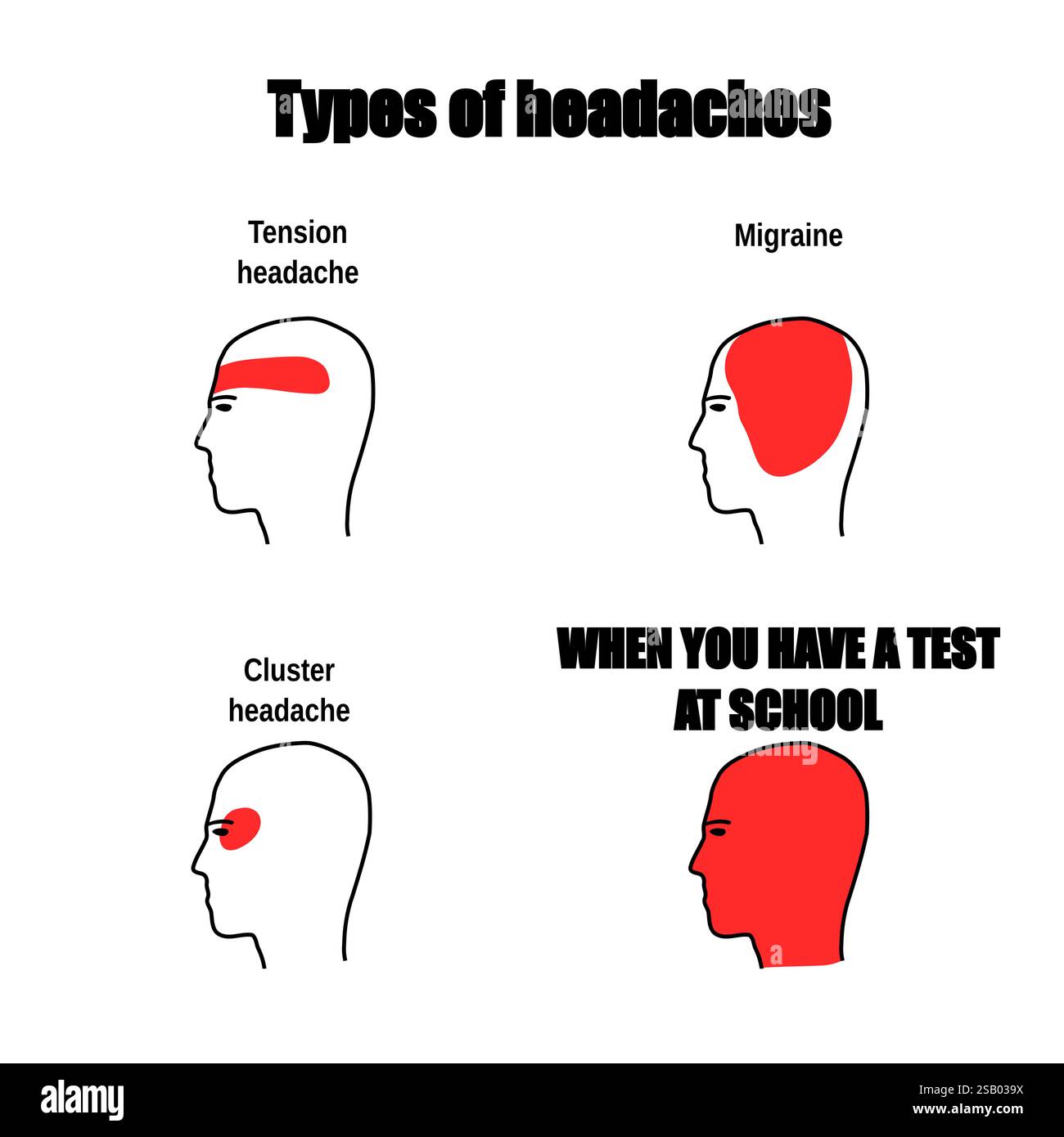 Meme about school test. Humor for social media Stock Vector Image & Art ...