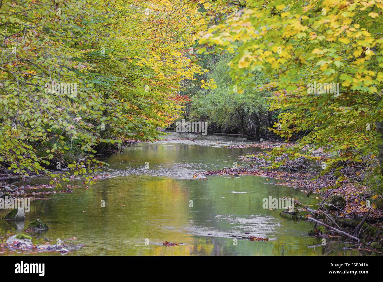 The Toplitz river begins at the western end of the Lake Toplitzsee as ...
