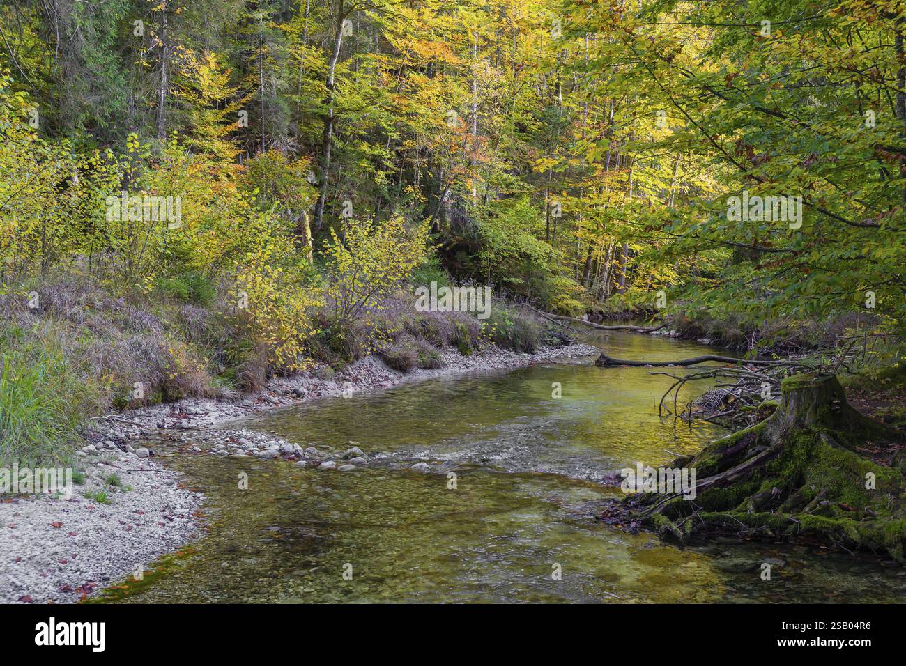 The Toplitz river begins at the western end of the Lake Toplitzsee as ...