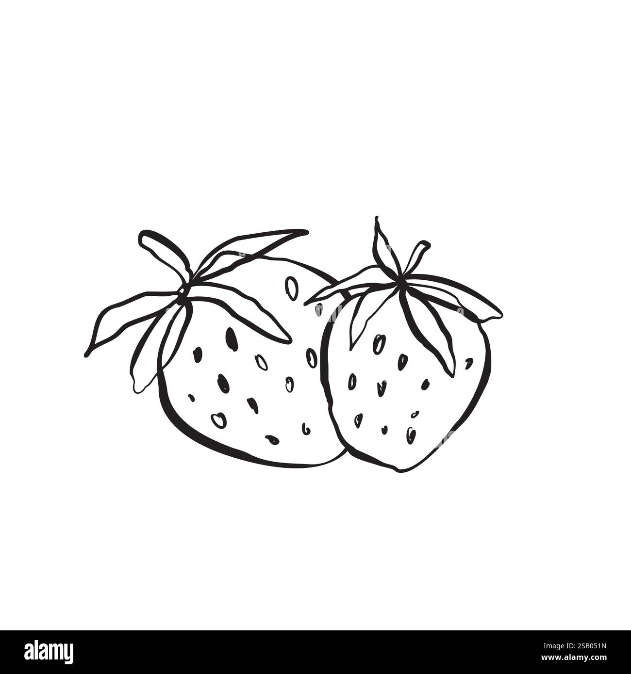 Strawberry line art vector illustration hand drawn doodles with leaves ...