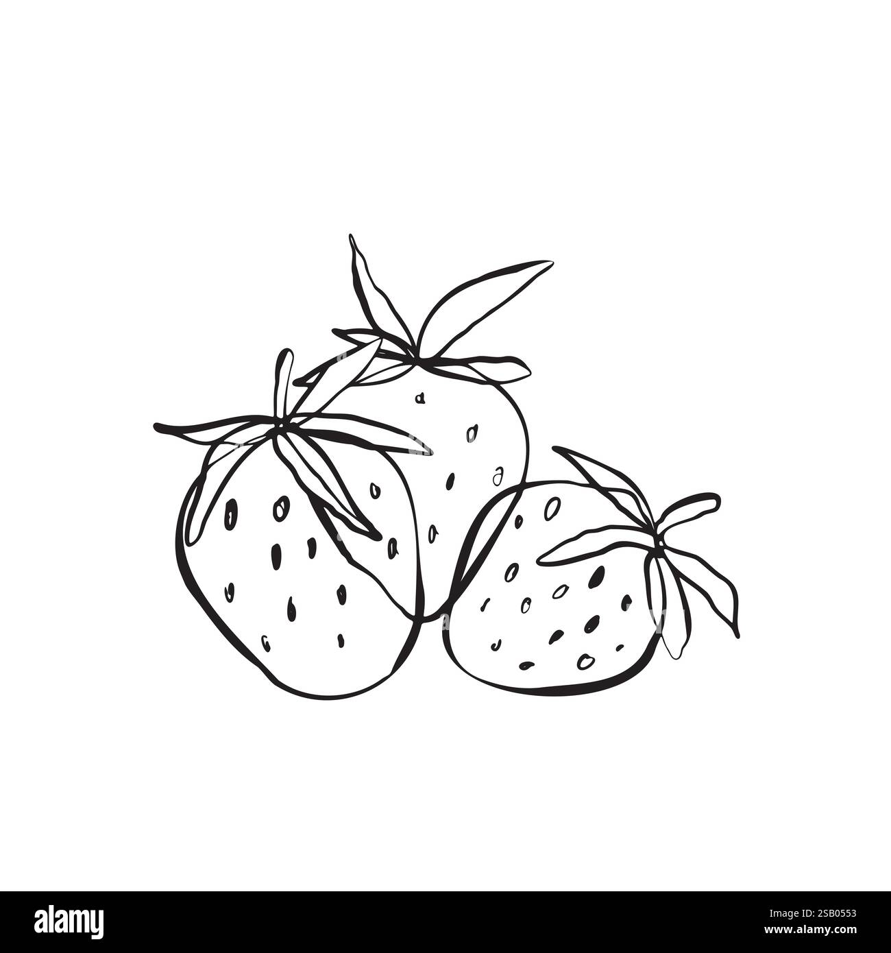 Strawberry line art vector illustration hand drawn doodles with leaves ...