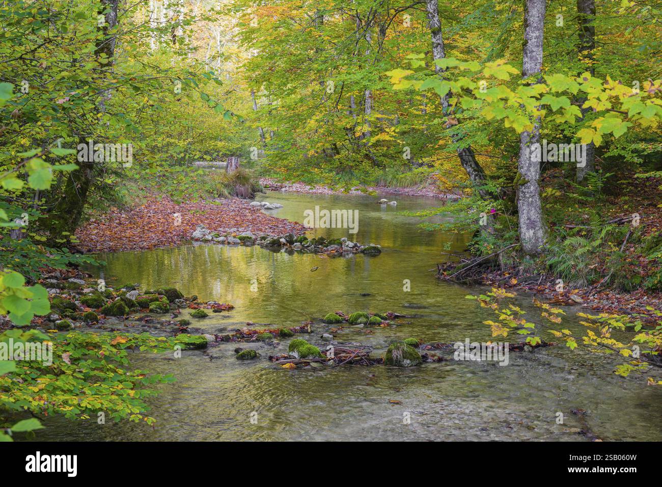 The Toplitz river begins at the western end of the Lake Toplitzsee as ...