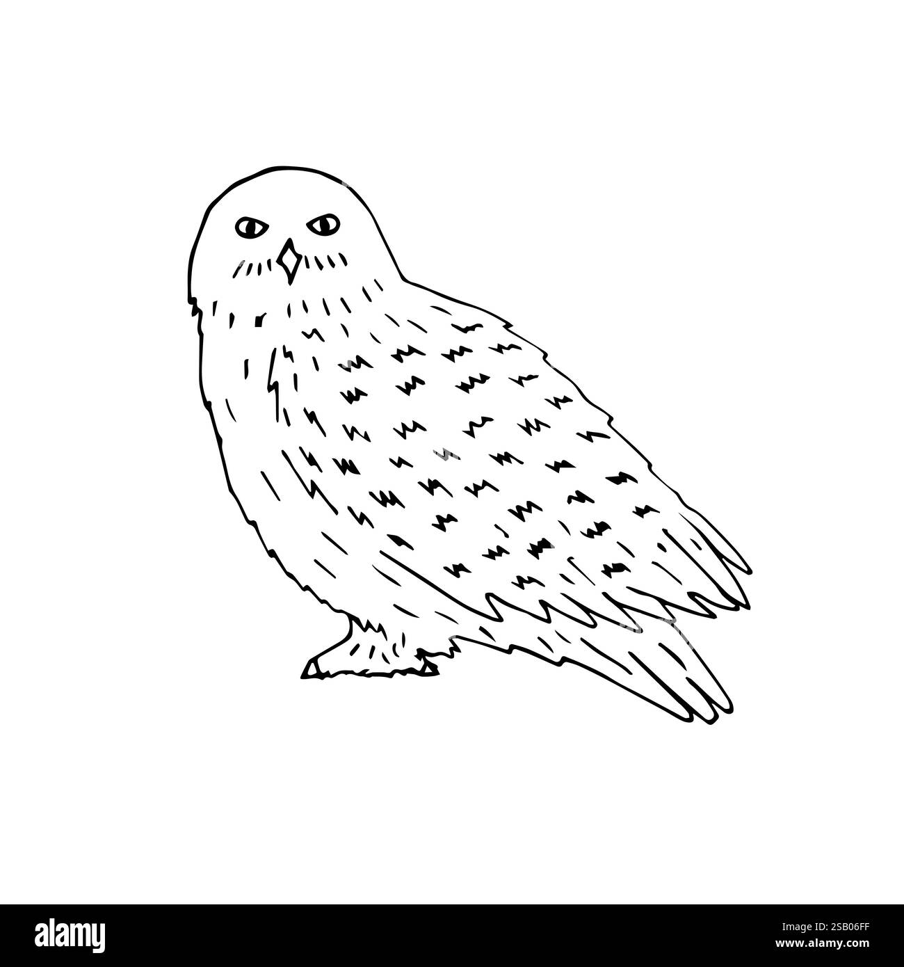 Vector hand drawn doodle sketch white polar snowy owl isolated on white background Stock Vector ...