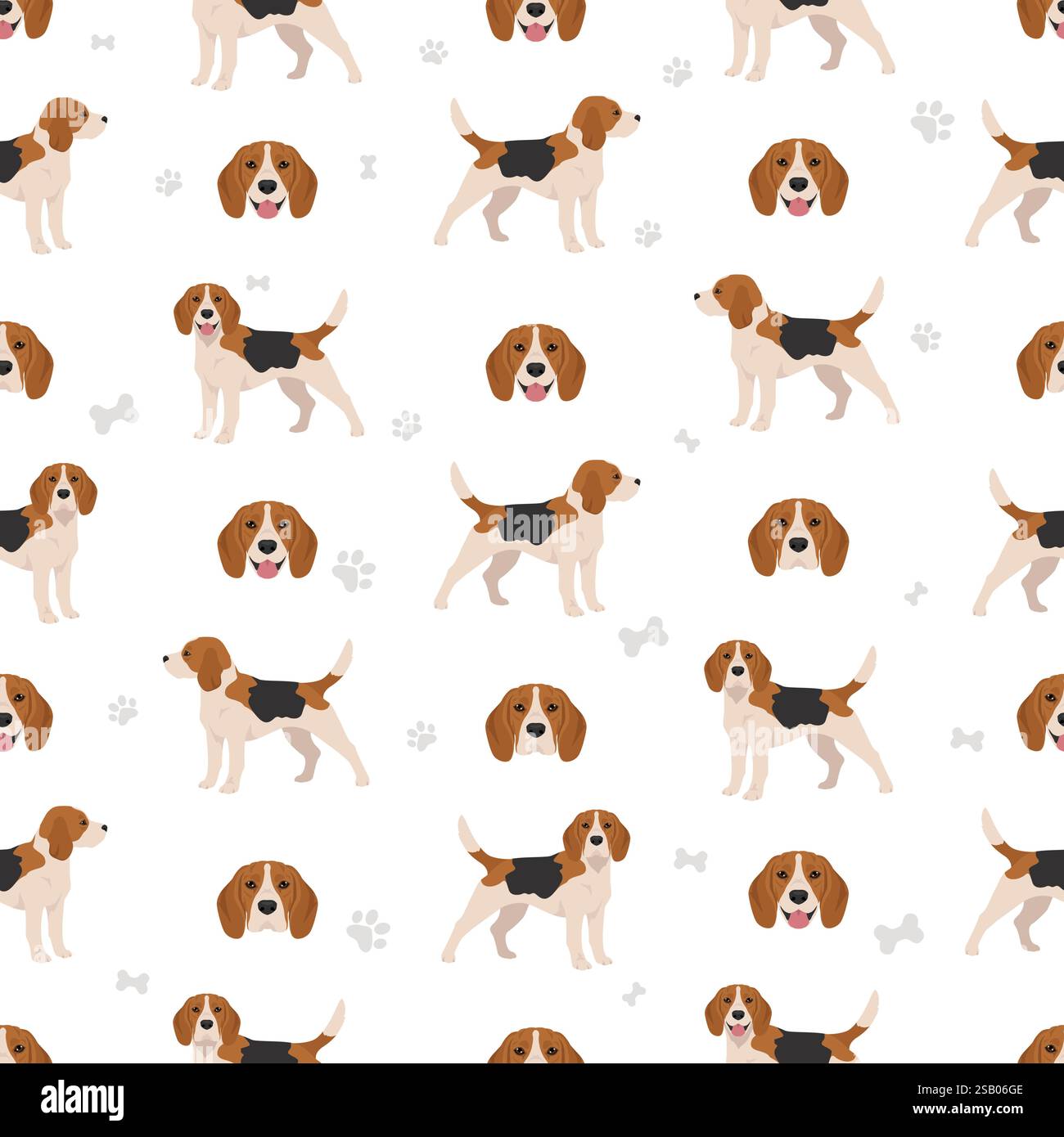 Beagle dog dog seamless pattern. All coat colors set. Different ...