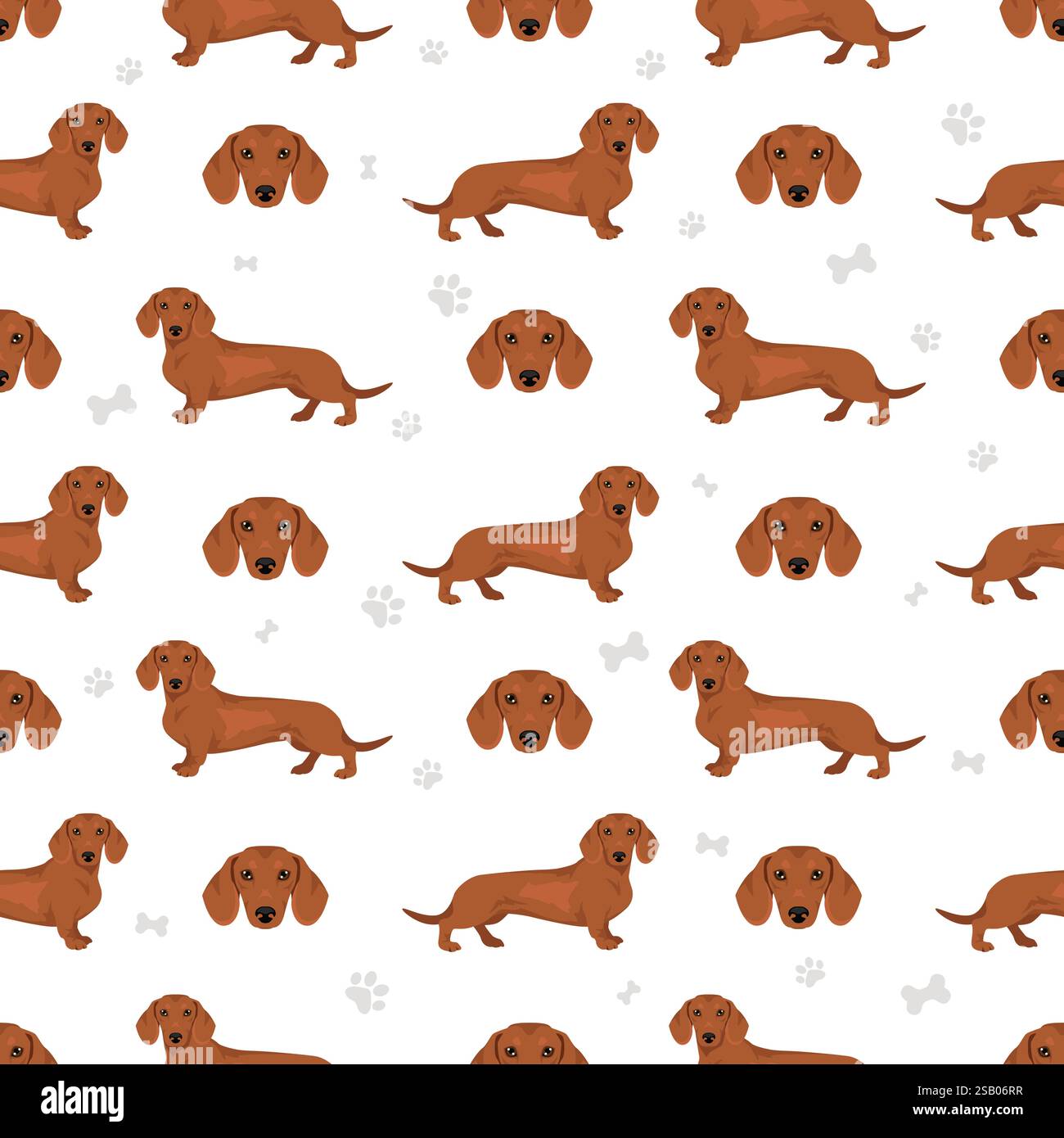 Dachshund short haired dog seamless pattern. Different coat colors set ...