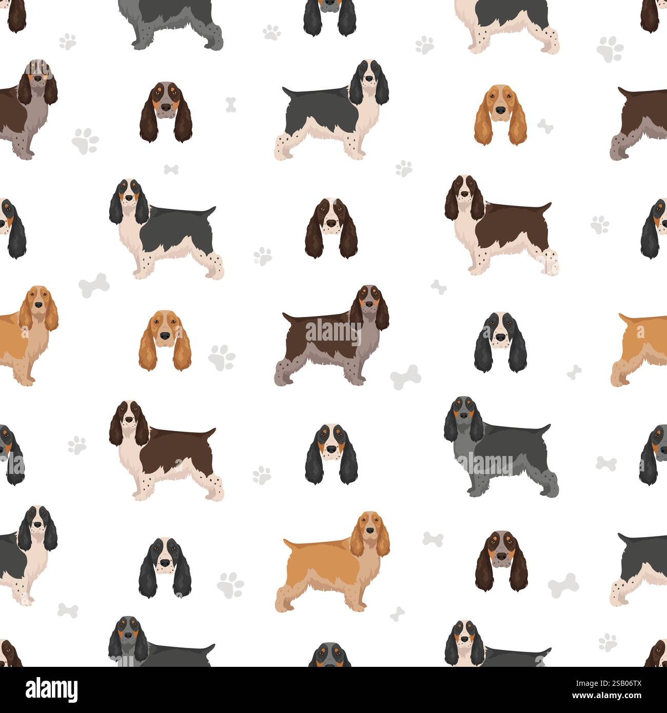 English springer spaniel show-bred seamless pattern. Different poses ...